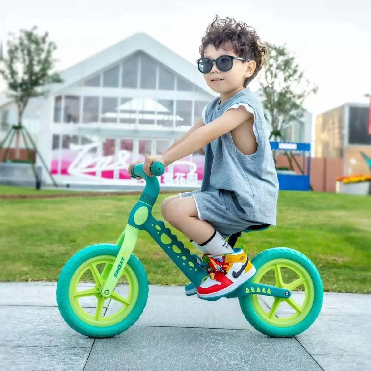 Kids Balance Bike Dinosaur Bike 2 Wheels with Foldable Footrest Ride-o ...